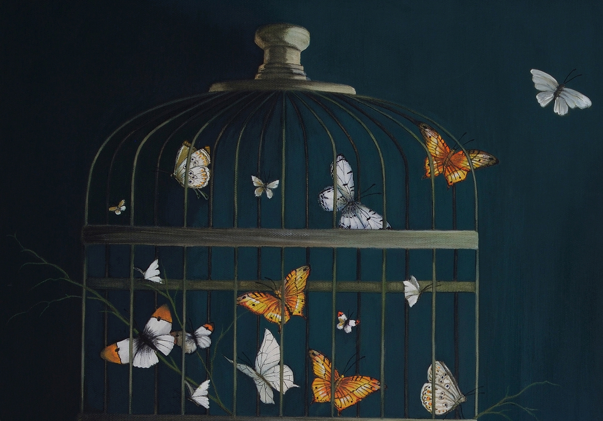 Eleonora Volpe – Artist Filmmaker Writer